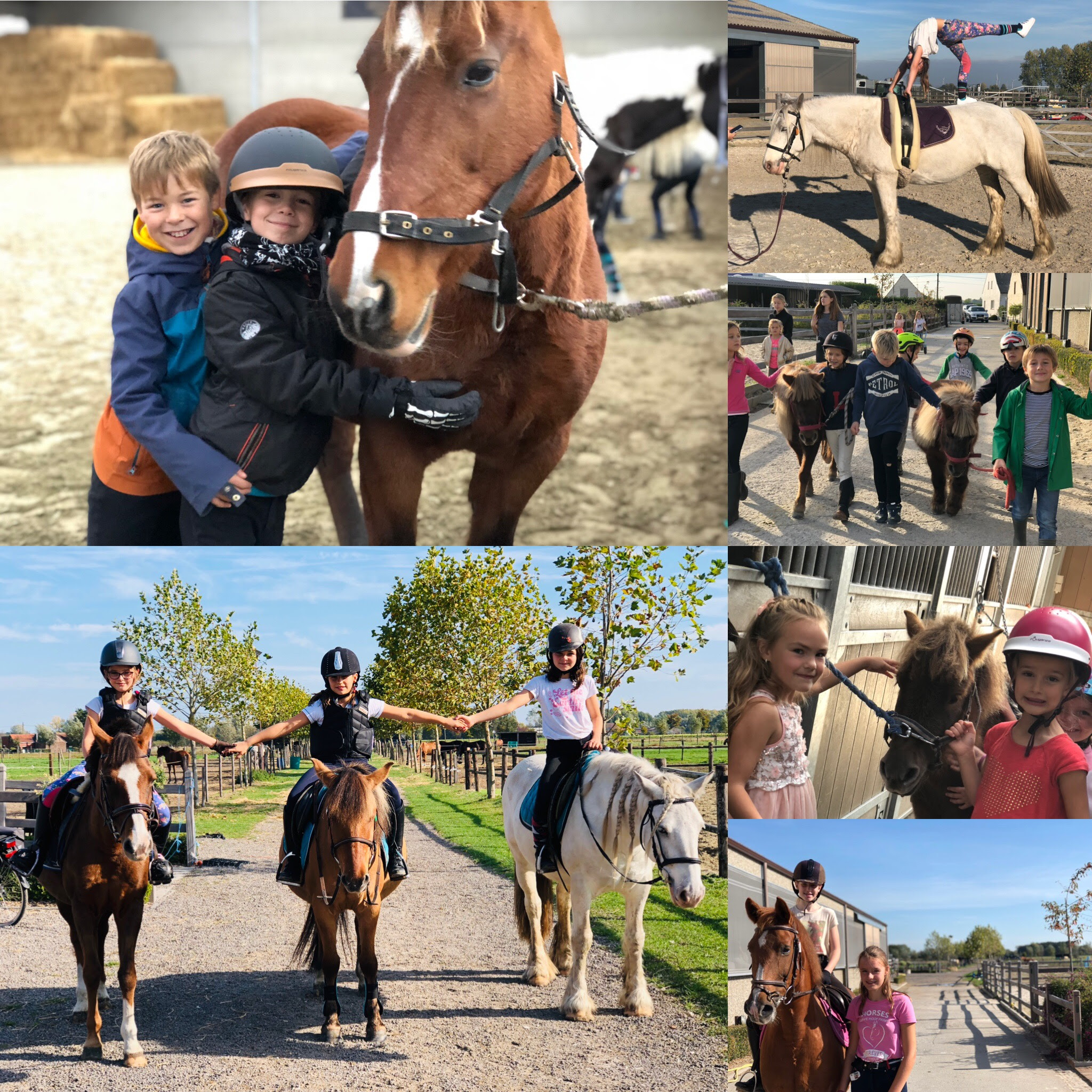 kampinschrijving – De Vlasrede